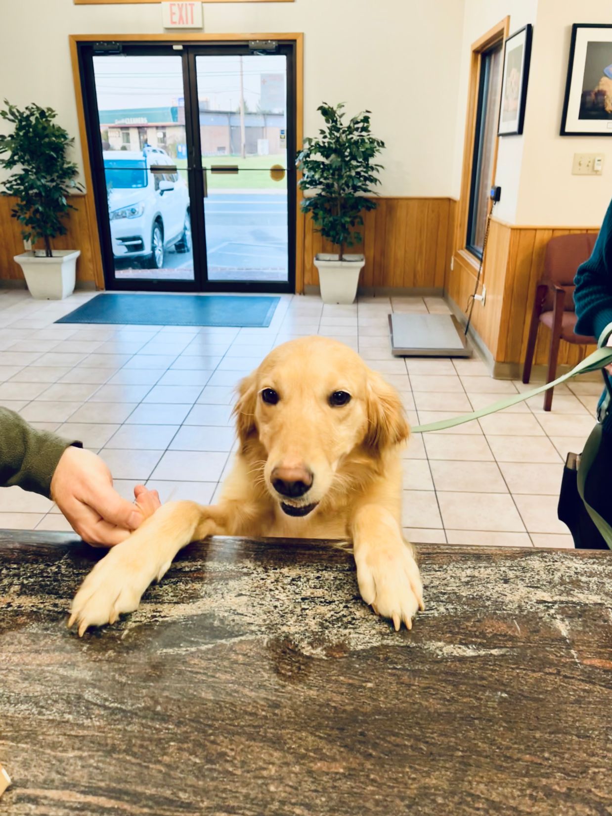 Allentown Veterinary Appointments | Cats, Dogs, Pocket Pets, Exotics, & Avians